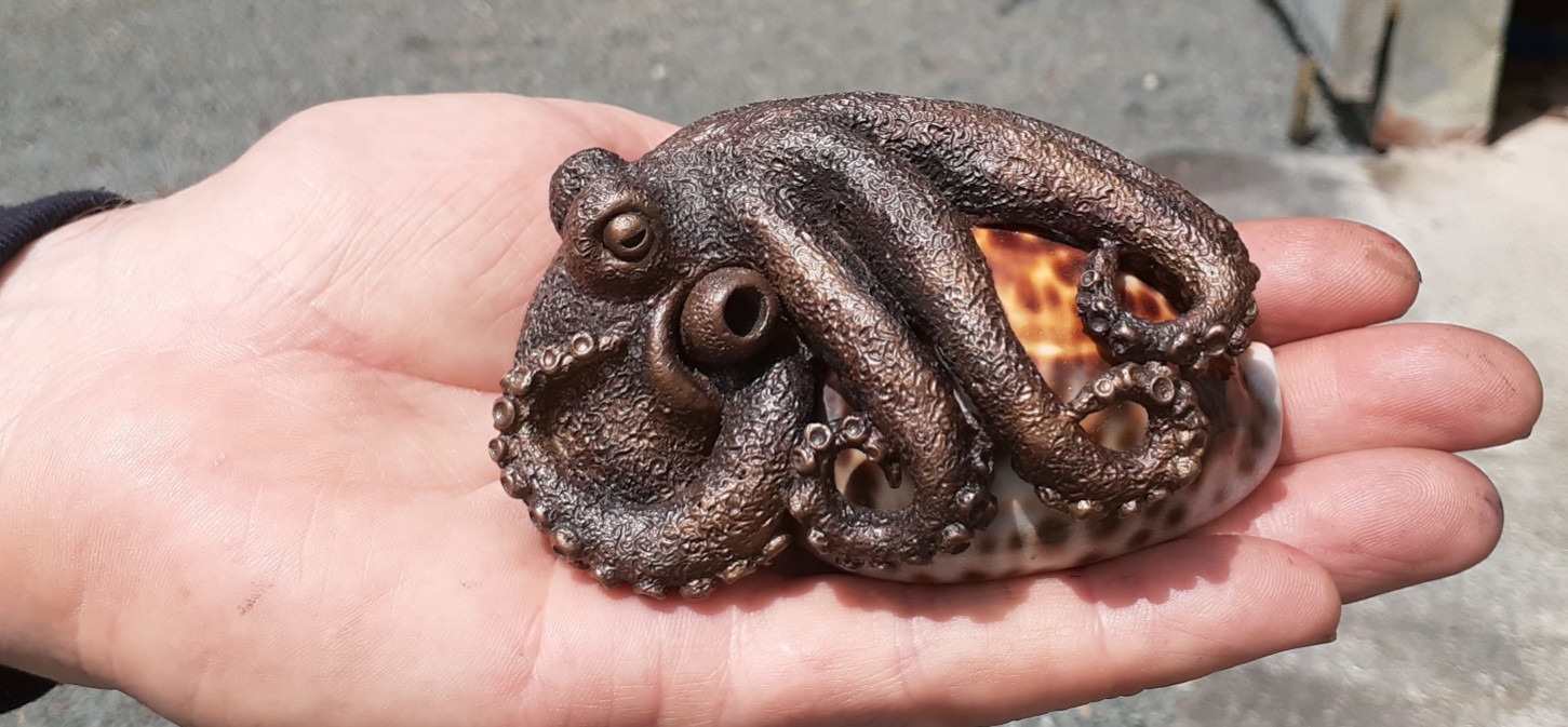 octopus
